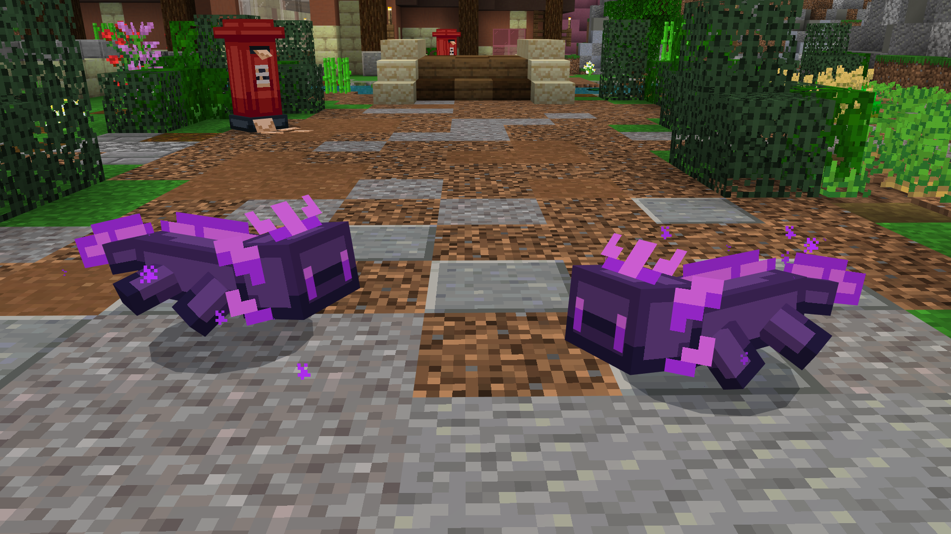 Pets have come to The Hive!