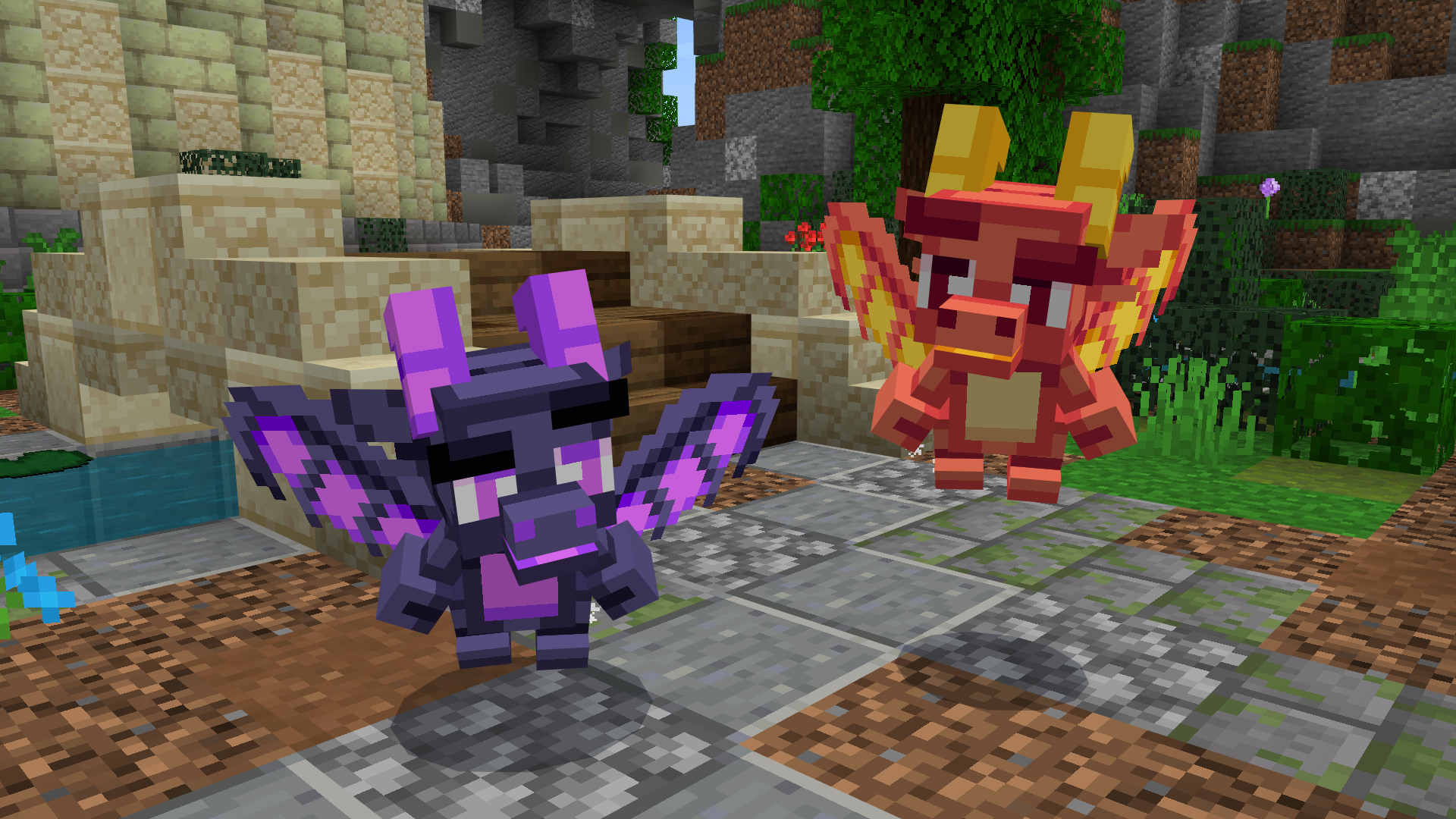 Pets have come to The Hive!