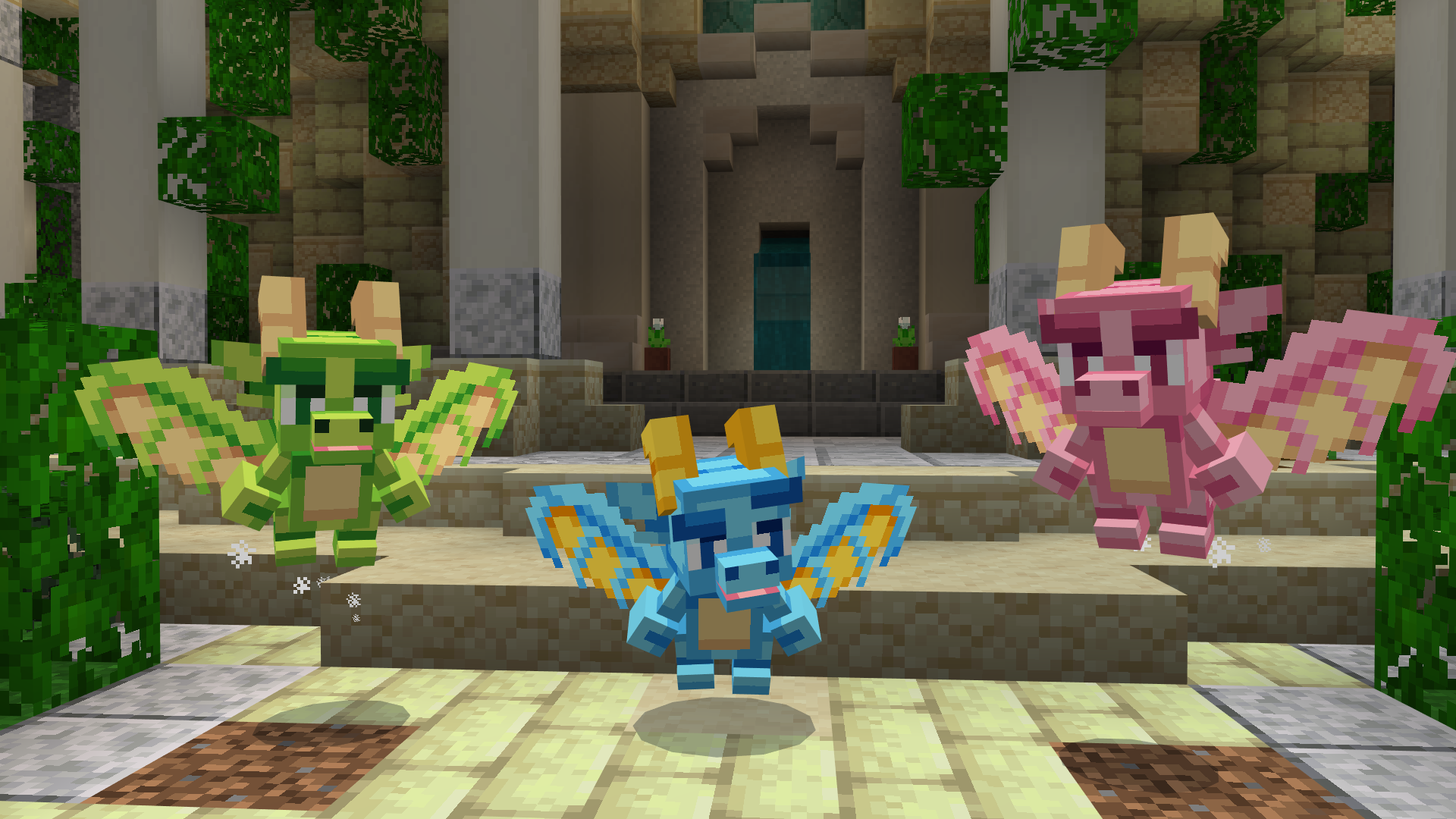 Pets have come to The Hive!